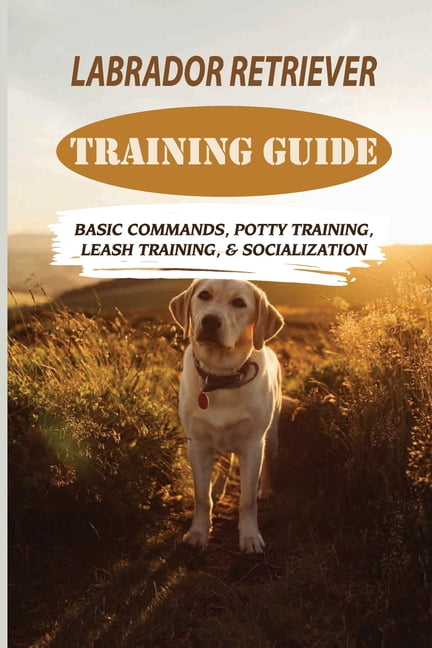 Labrador Retriever Training Guide: Basic Commands, Potty Training ...