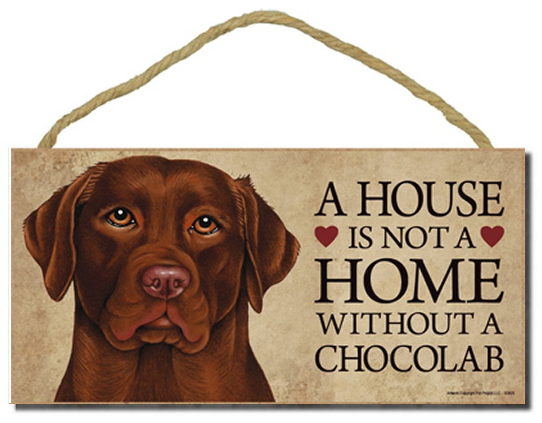 Labrador Retriever (chocolate) "A house is not a home without a ...