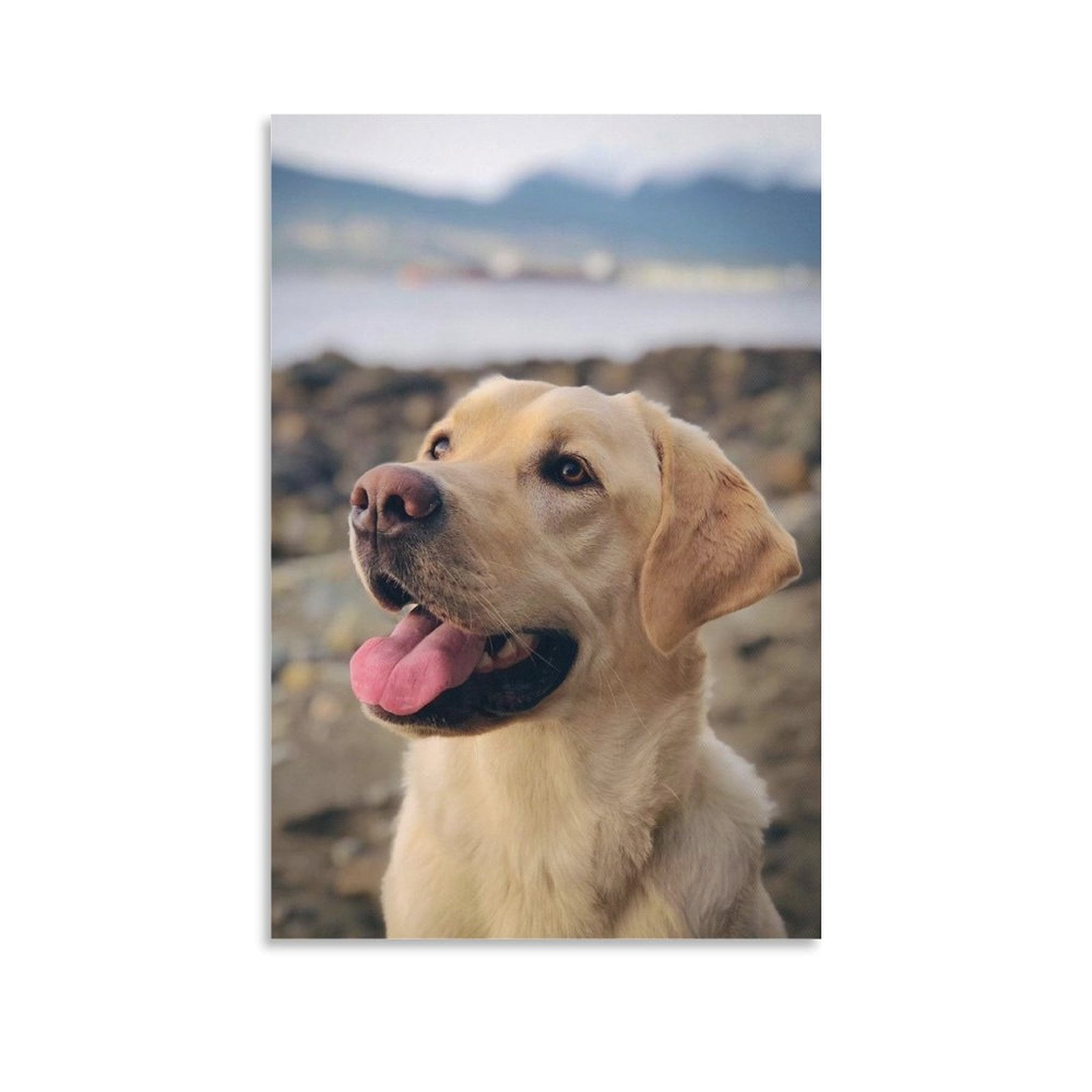 Labrador Retrievers Dog Painting On Canvas Wall Art Poster Scroll ...