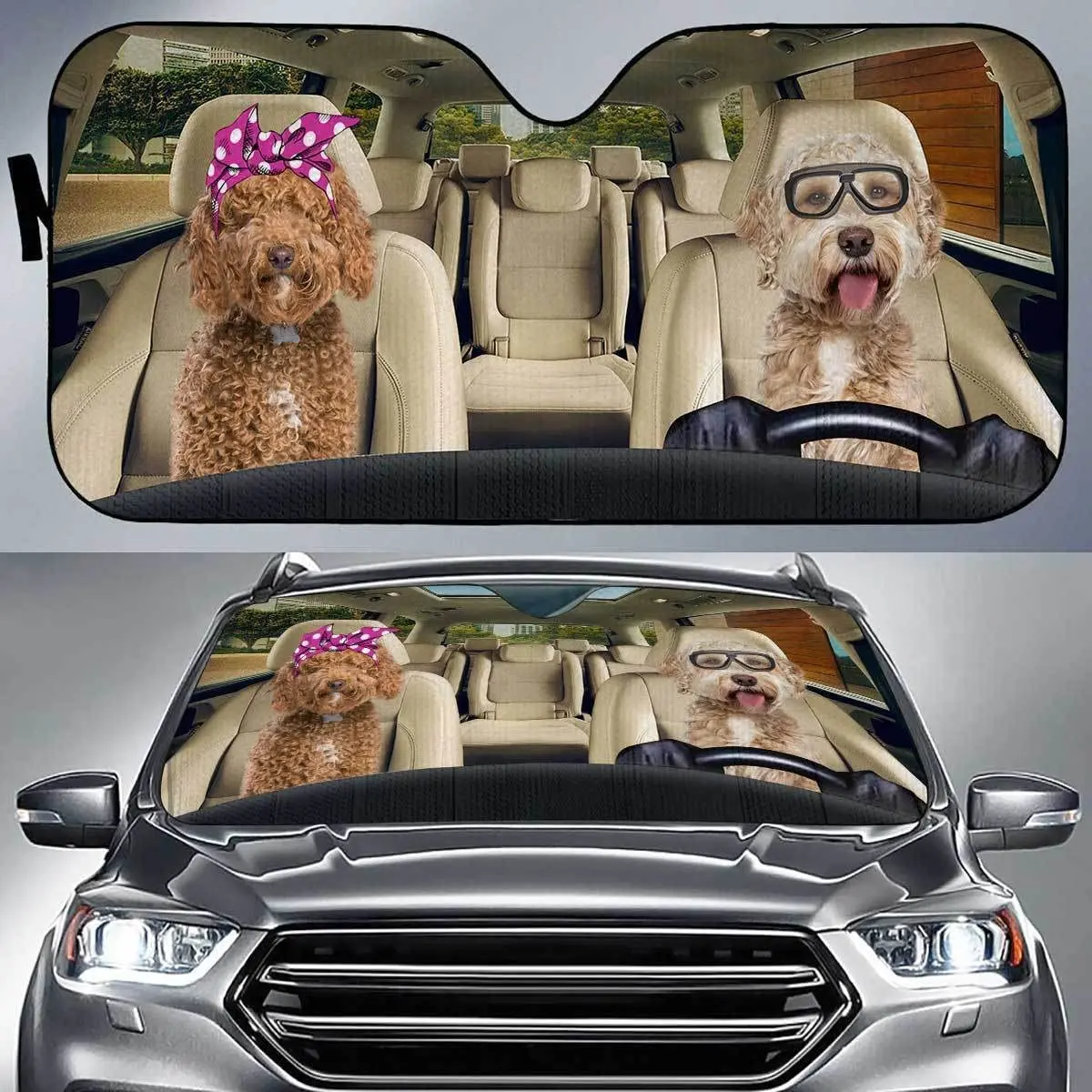 Labrador dog couple driving left hand car sunshade cute labrador dog ...