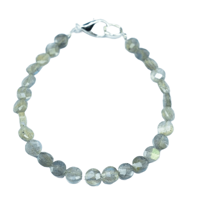 Labradorite 6mm Coin Shape Faceted Cut Beads 7 inch Silver Plated Clasp ...