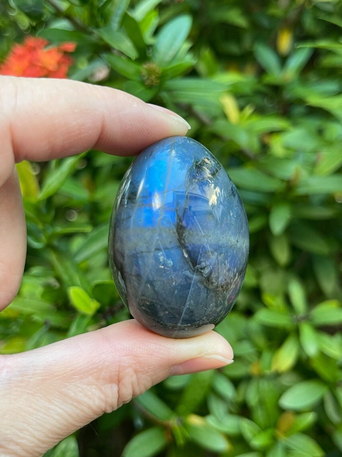 Labradorite Pebble, 1.75"-2.25" Hand Polished Labradorite Stones ...