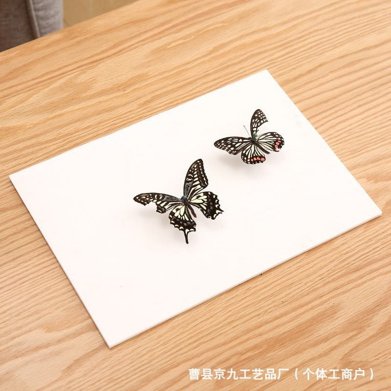 Butterfly Spreading Board Adjustable Insect Pinning Spreading Board ...