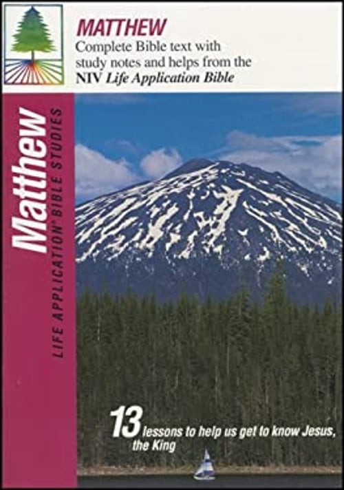 Matthew 8 Niv