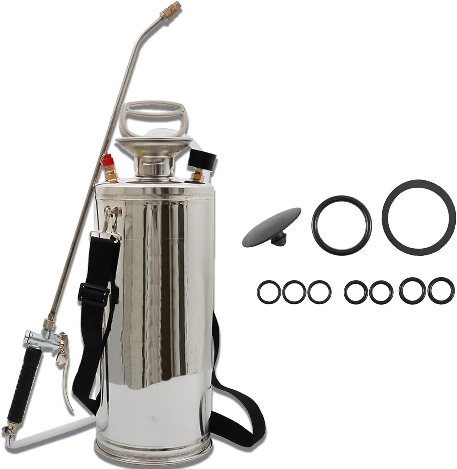 Labwork 2 Gallon Stainless Steel Sprayer Hand Pump Sprayer with ...