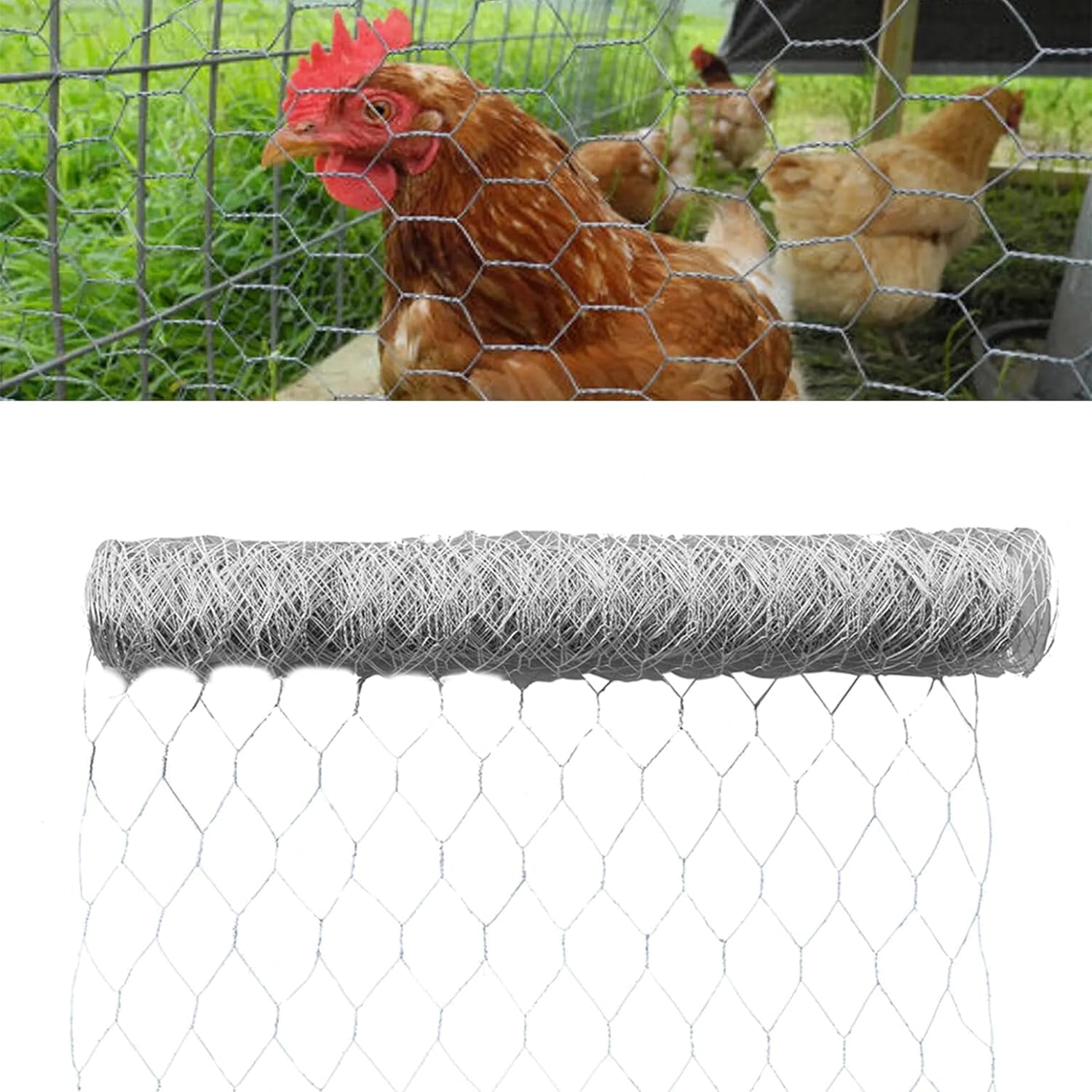 Lab Work 24x150 ft Galvanized Poultry Net, Chicken Wire, 2 inch Holes ...