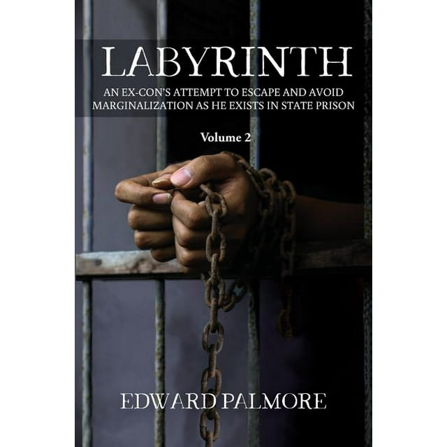 Labyrinth: Volume 2: AN EX-CON'S ATTEMPT TO ESCAPE AND AVOID ...