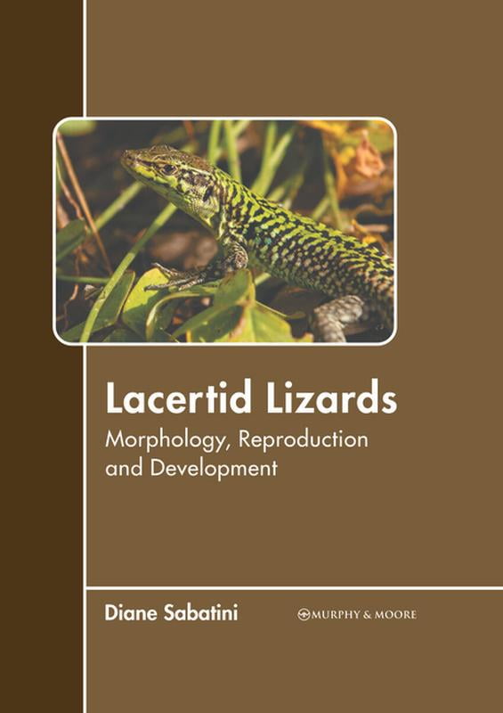 Lacertid Lizards: Morphology, Reproduction and Development, (Hardcover ...