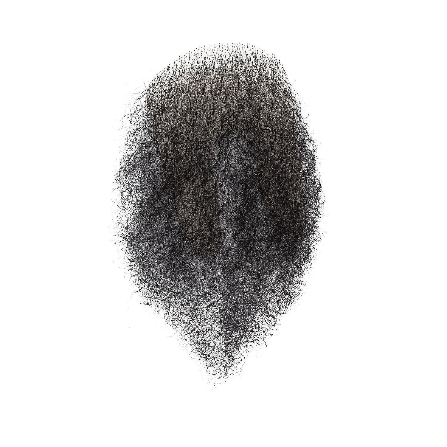 Lacey Wigs - Merkin Black Wig - One Size - Walmart.com