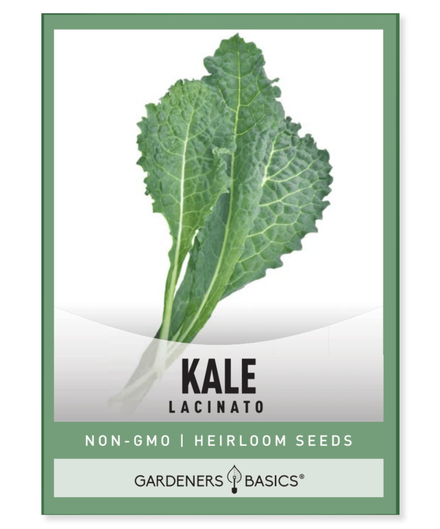 Lacinato Kale Seeds - Walmart Business Supplies