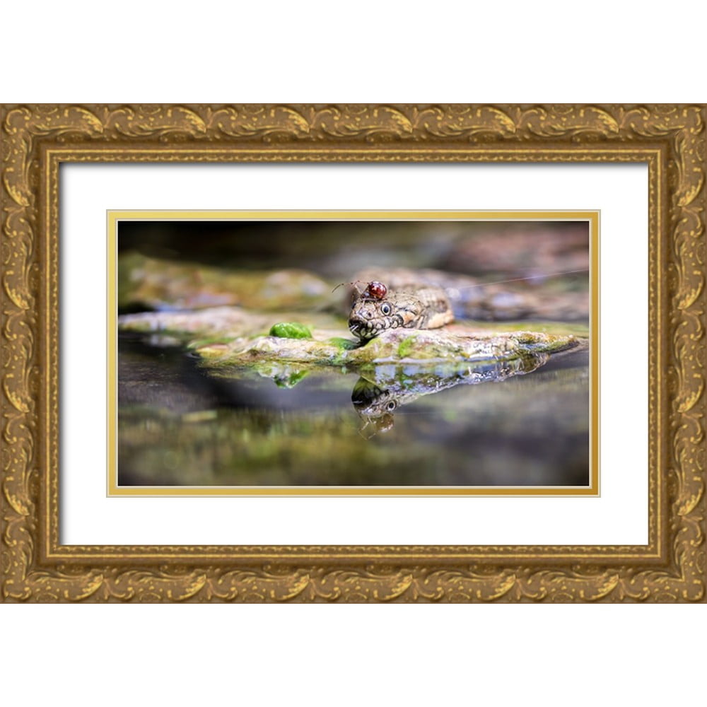 Lackner, Walter 24x15 Gold Ornate Wood Framed with Double Matting ...