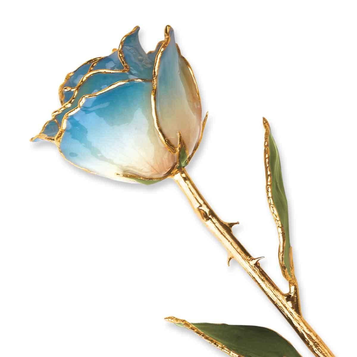 Lacquer Dipped 24K Yellow Gold Trim White and Navy Blue Pearl Rose ...