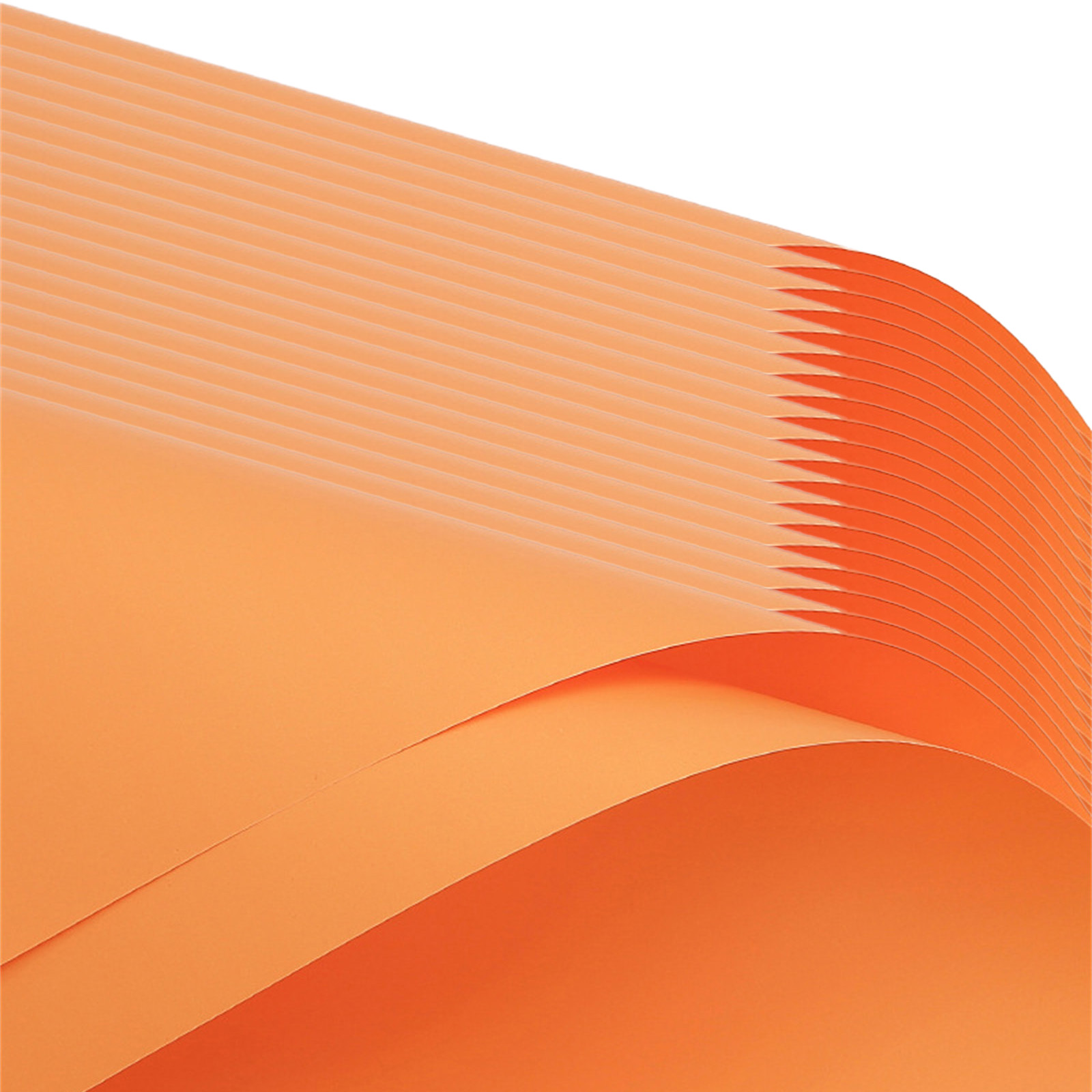 Ladaidra Brown fhgksm 20Pcs Handy Flower Bouquet Wrapping Paper Elegant ...