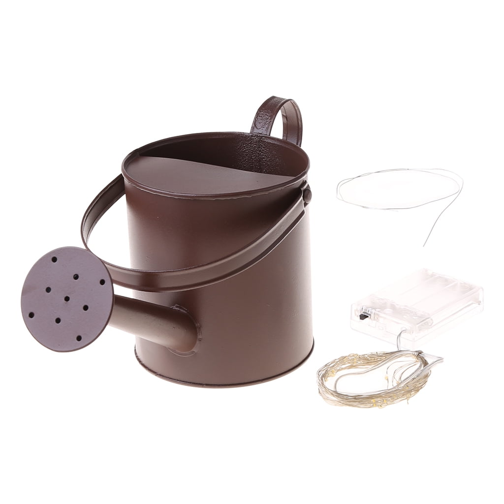 Ladaidra Brown fhgksm Creative Watering Can Shower Star Garden Art ...