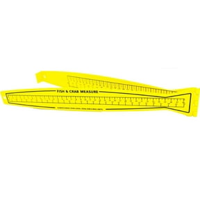 Fish Measuring Board