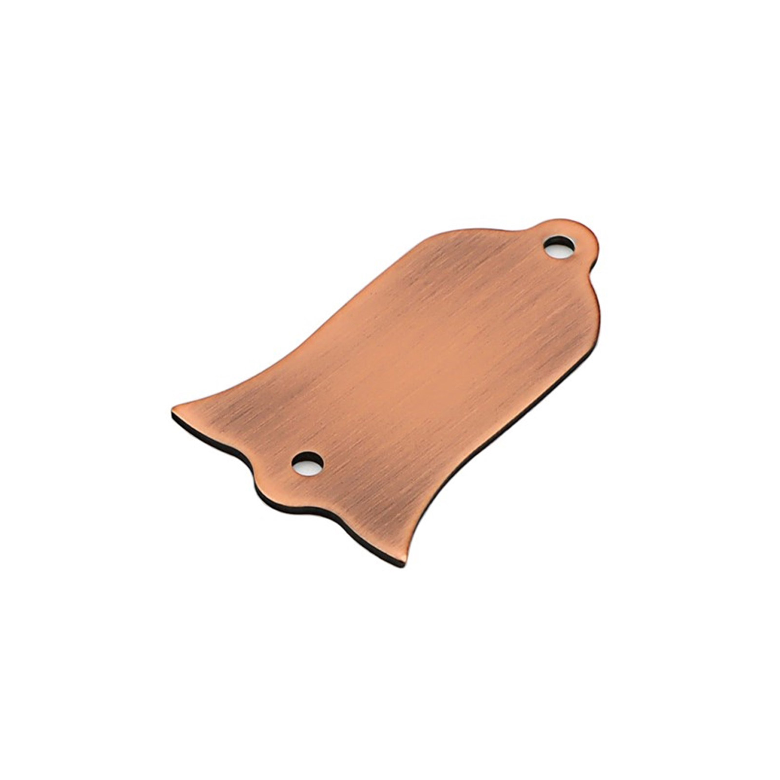 Ladaidra Brown fhgksm Guitar Trusses Rod Replacement 2 Holes Metal ...