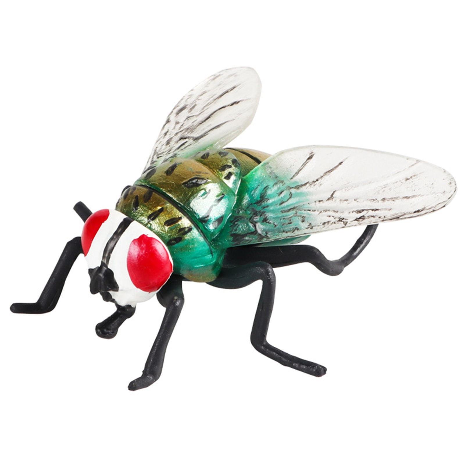 Ladaidra Brown fhgksm Spiders Bugs Gogga Model Realistic Toy for Kids ...