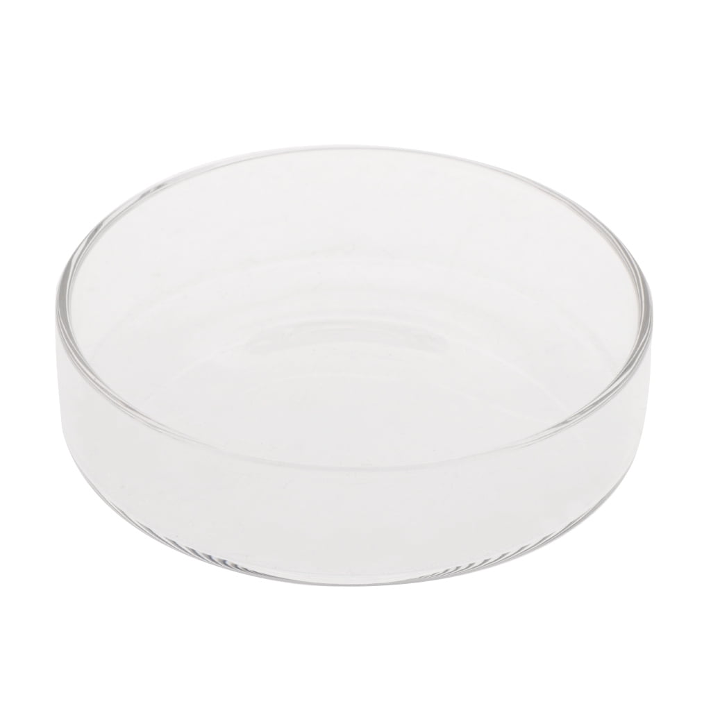 LadaidraBF Glass Feeder Dish Transparent Round Food Tray Bowl for ...