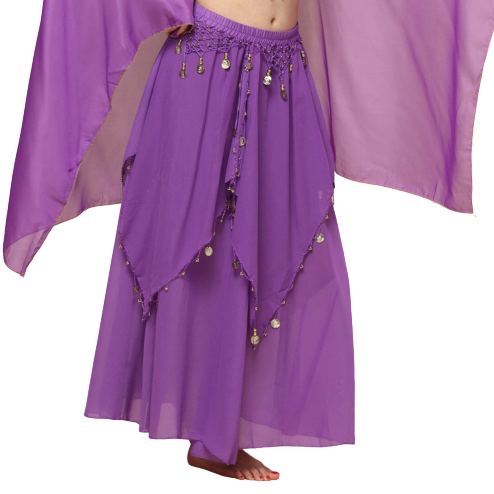 Ladies' Belly Dance Skirt Hanging Coin Skirt Chiffon Big Swing Skirt ...