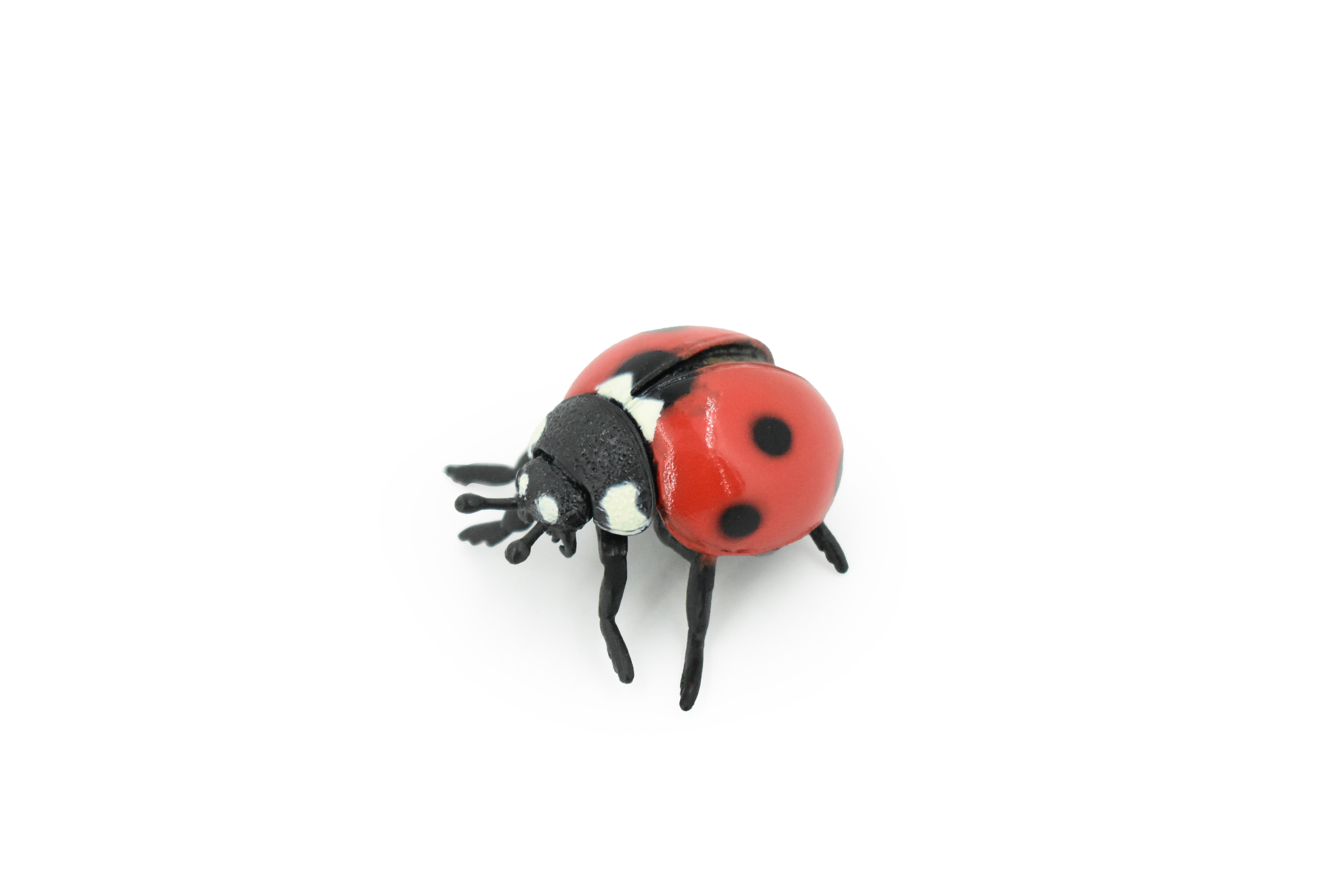 Lady Bug, Rubber Insect, Toy, Realistic Figure, Model, Replica, Kids ...
