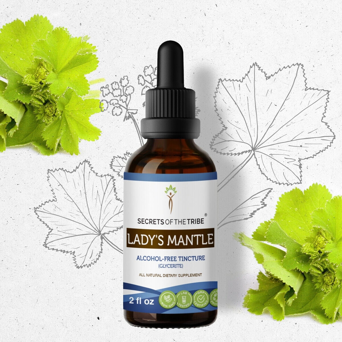 Secrets Of The Tribe Lady's Mantle Tincture Dietary Supplement, Natural ...