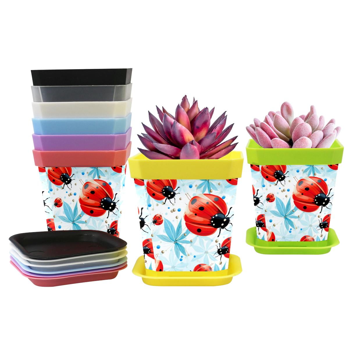 Ladybird Ladybug Coccinella Septempunctata Caribbean Planter 8PCS ...