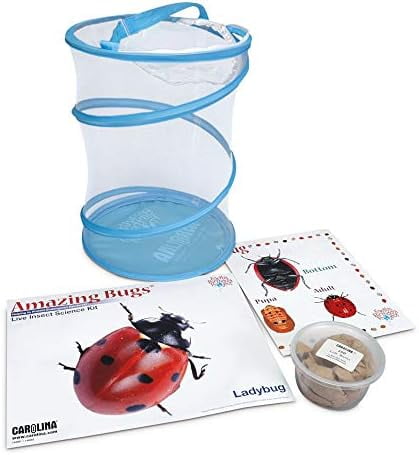 Ladybug Amazing Bugs Kit (With Live Ladybugs) - Walmart.com
