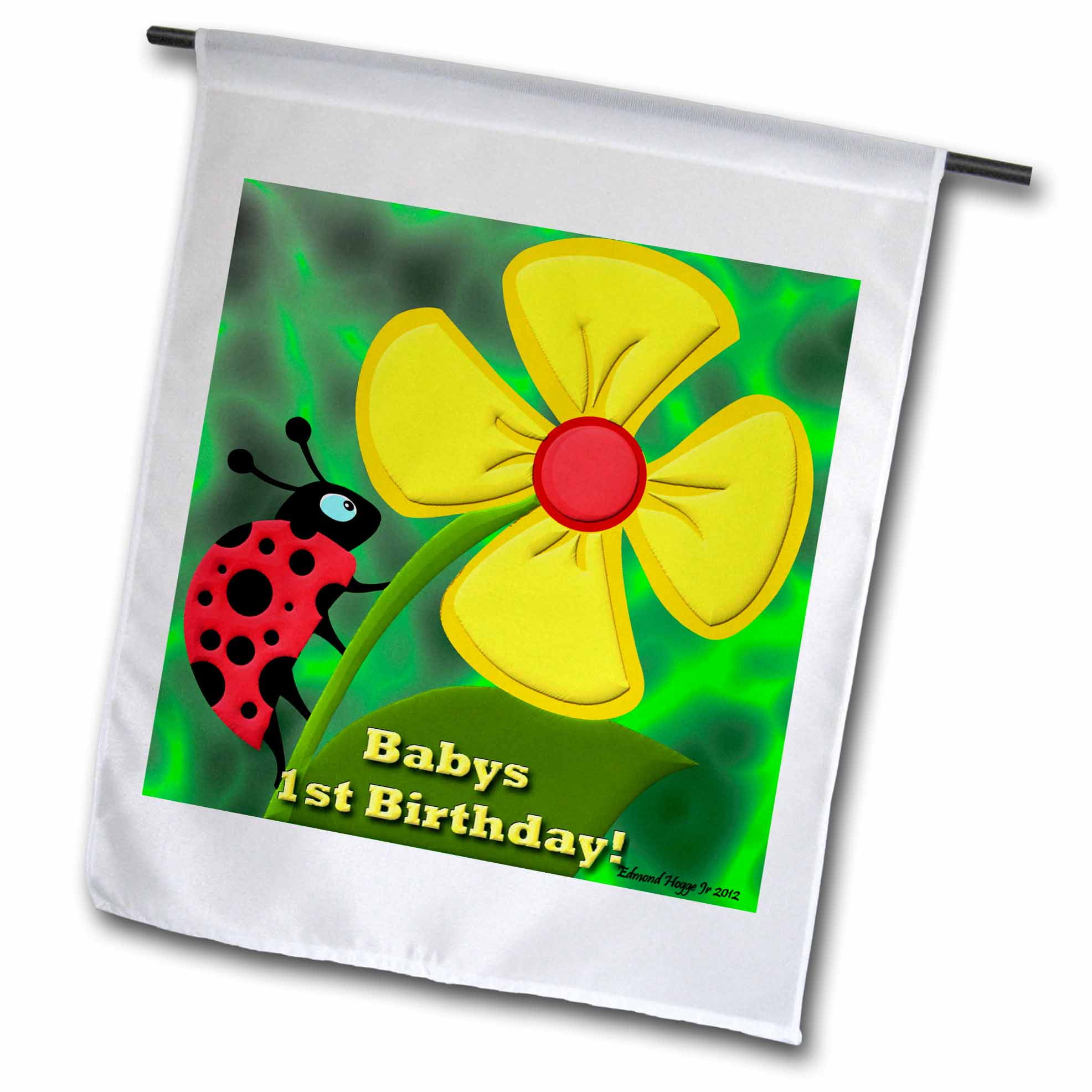 Ladybug Babys 1st Birthday 12 x 18 inch Garden Flag fl-58856-1 ...