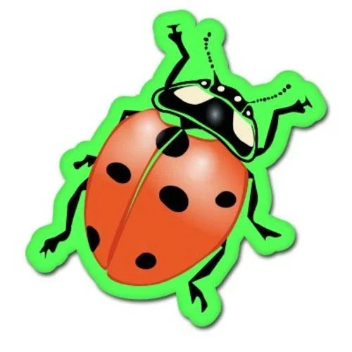 Ladybug Car Sticker Phone Decal Water Bottle Stickers Car Decals ...