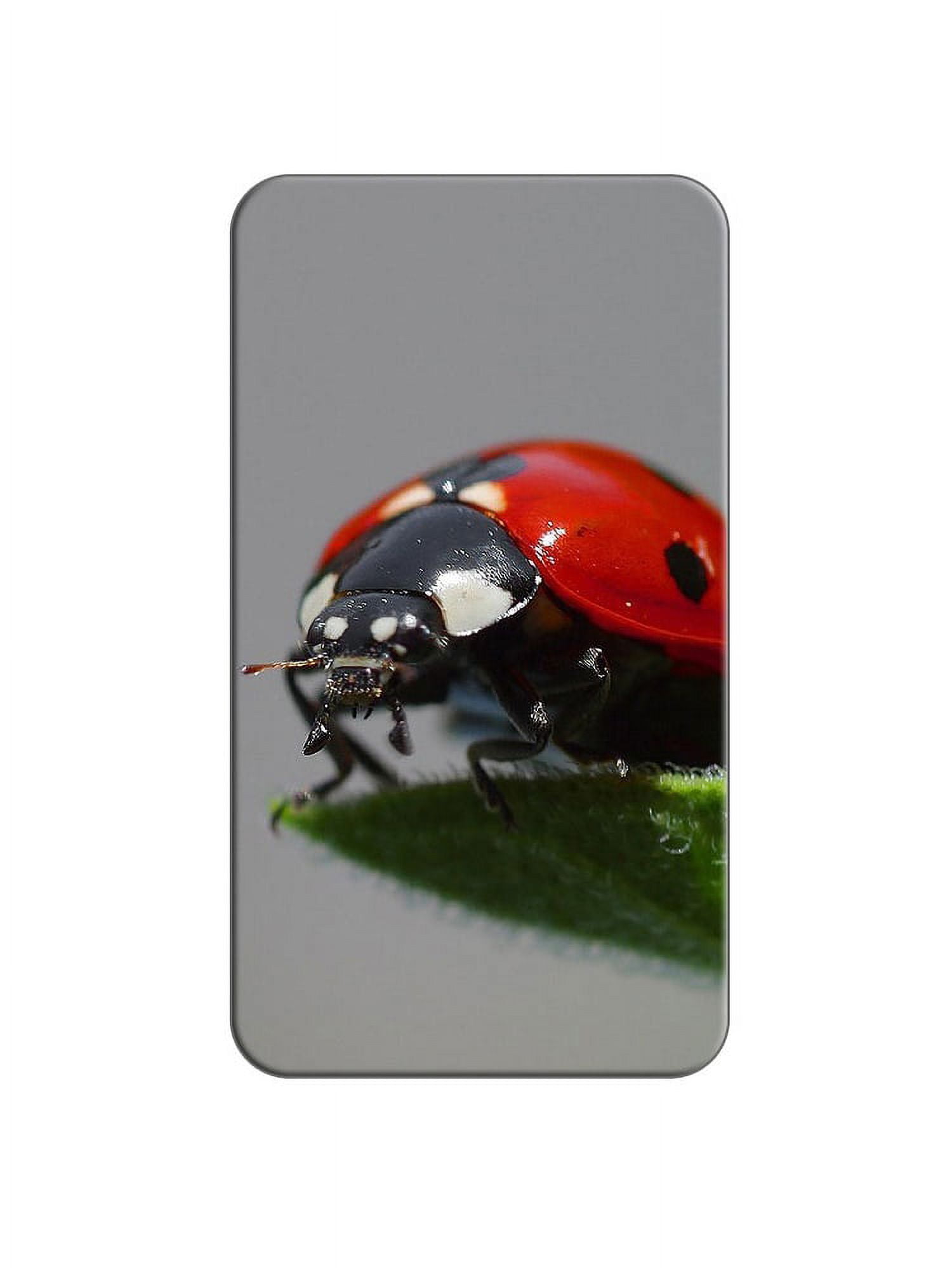 Ladybug Close-up - Lady Bug Beetle Lapel Hat Pin Tie Tack - Walmart.com