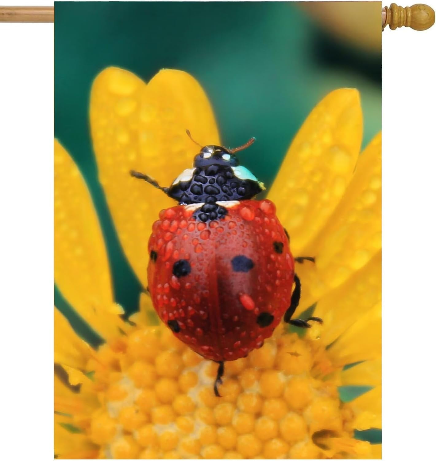 Ladybug Crawling on a Daisy Flowers Spring Scene Garden Flag 28 x 40 ...