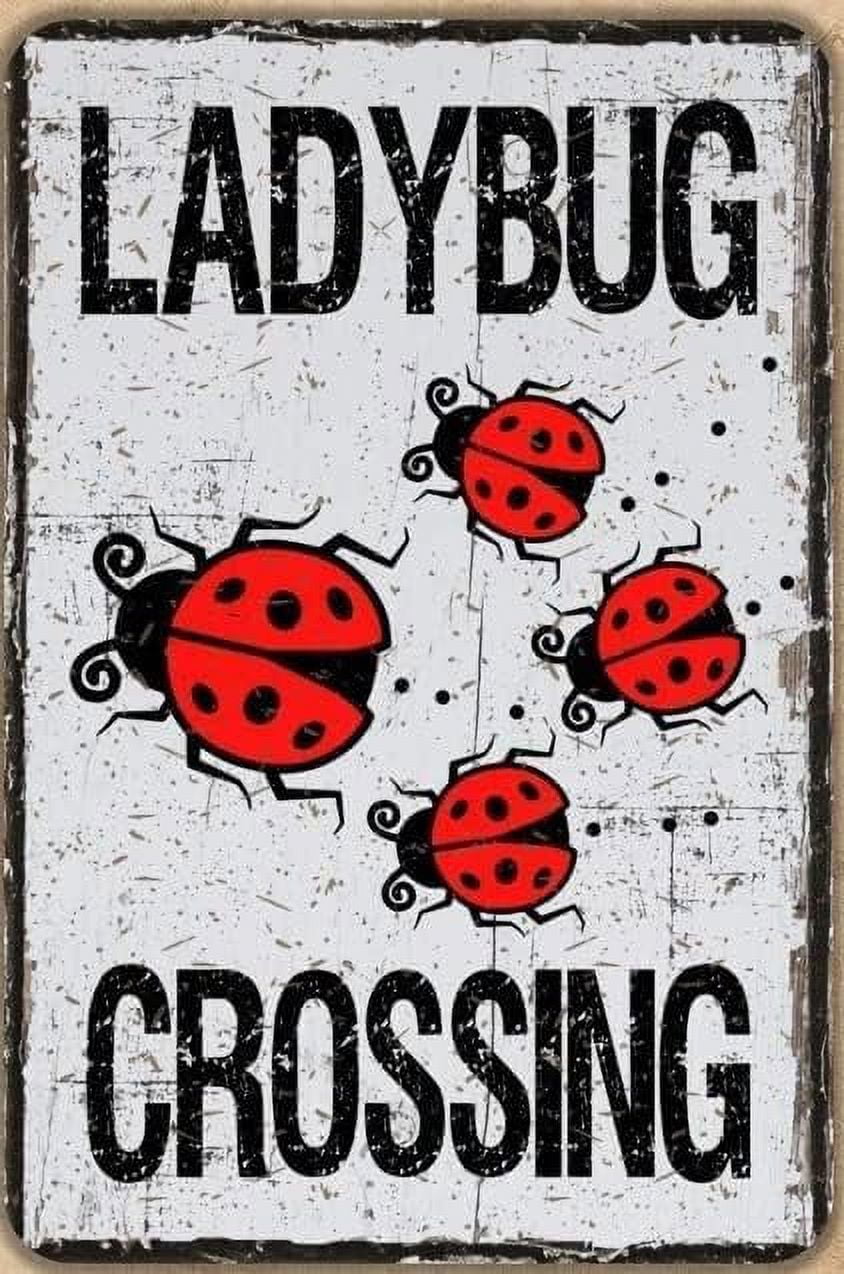 Ladybug Crossing Diamond Art Kits for Adults Beginners 5D Diamond ...