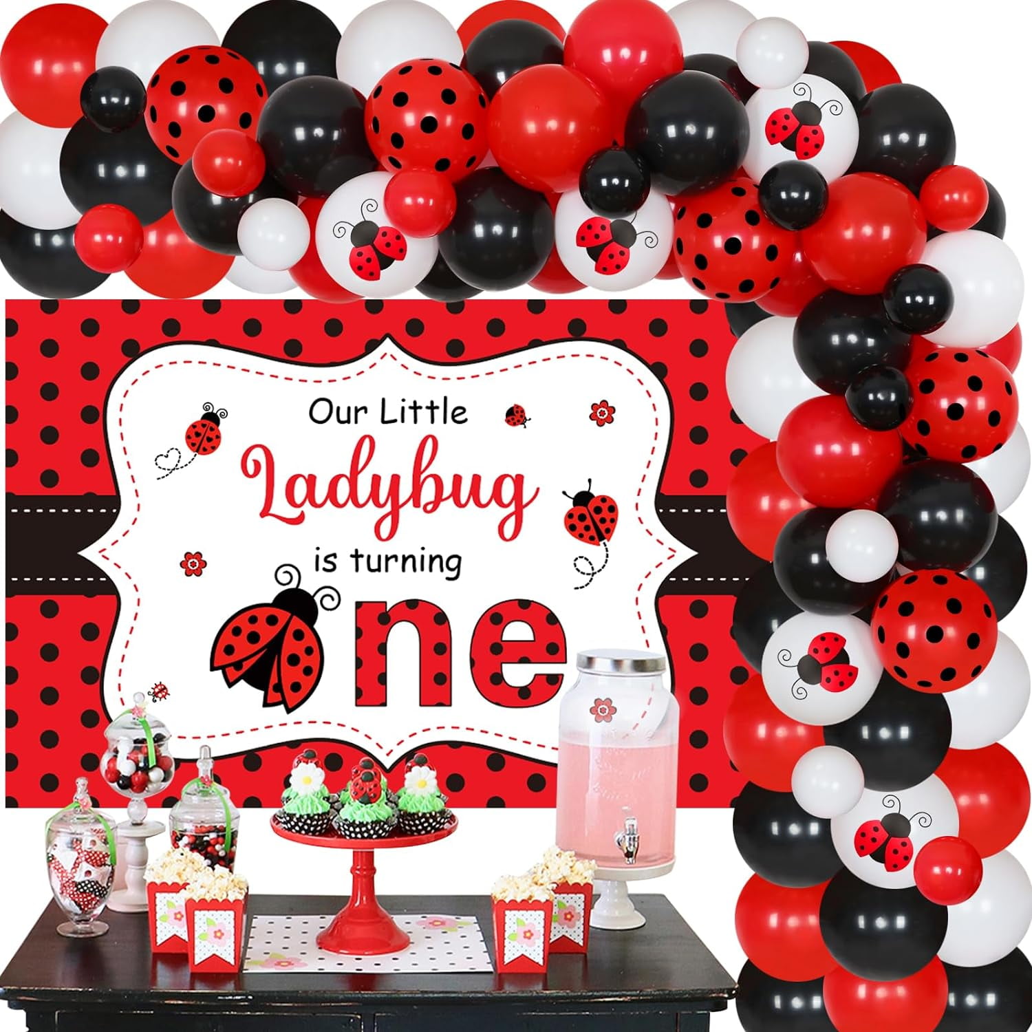 Ladybug Birthday Decorations Ideas | Shelly Lighting