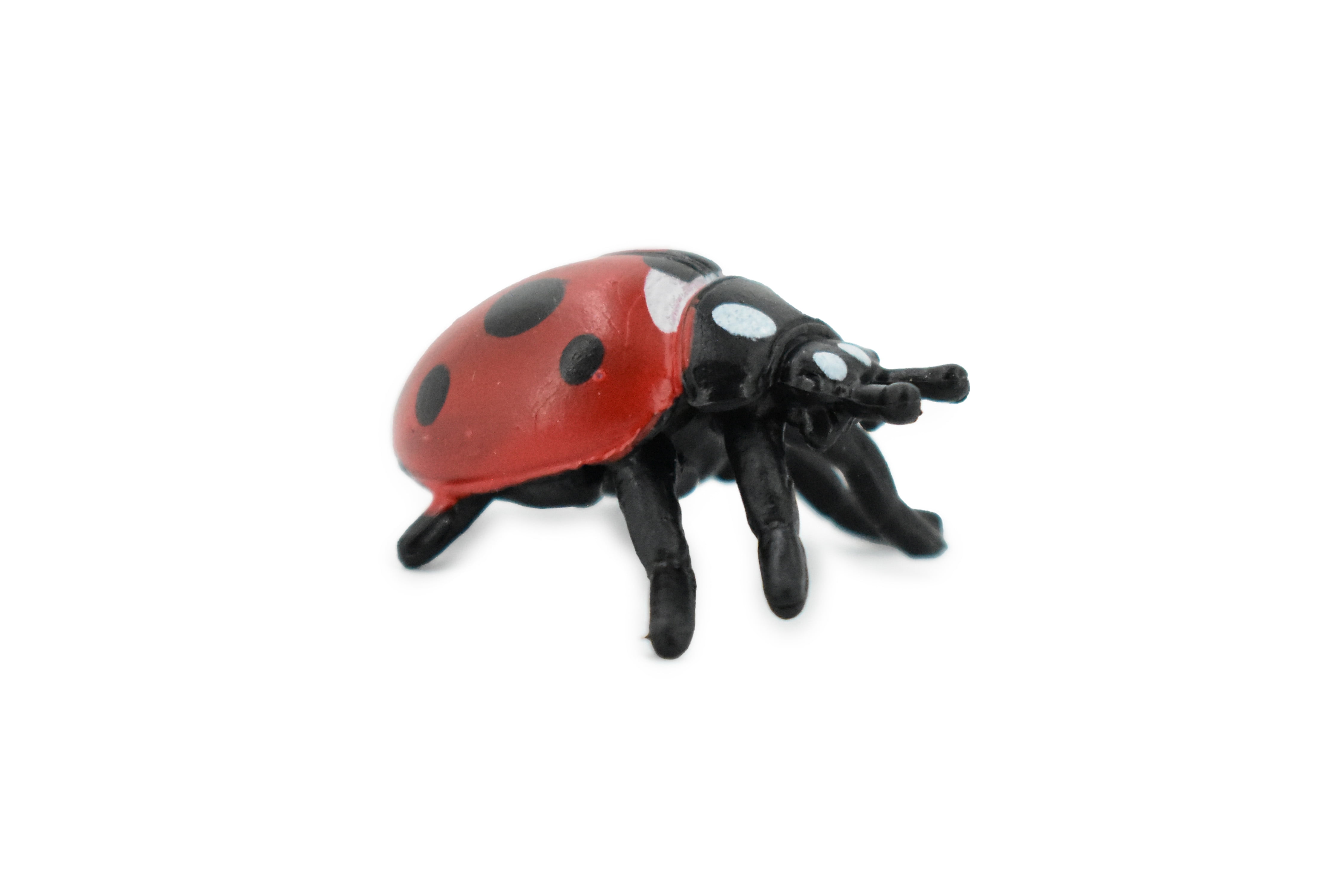 Ladybug, Lady Bug, Beetles, Hand Painted, Rubber Insect, Realistic Toy ...