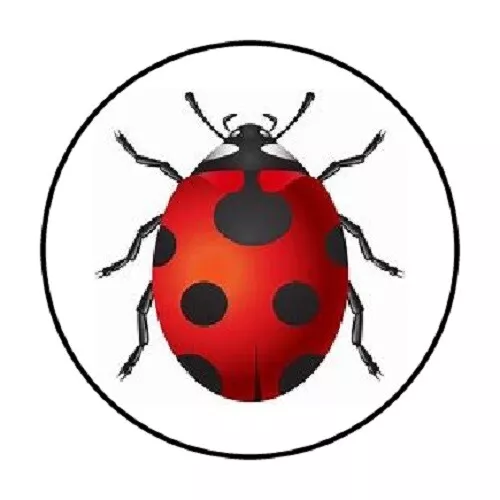 Ladybug Sticker Phone Decal Water Bottle Stickers Car Decals, Laptop ...