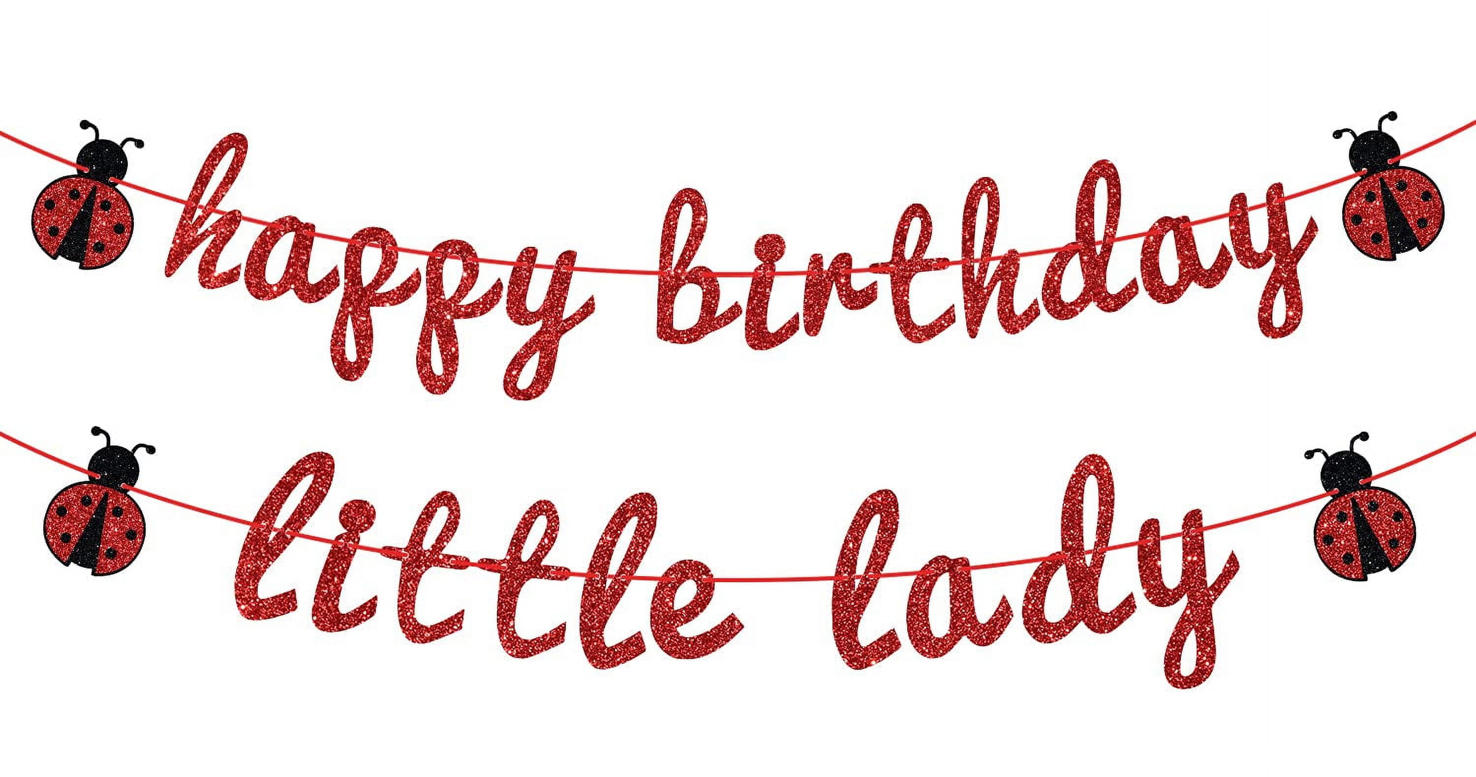 Ladybug Theme Happy Birthday Little Lady Banner - Girl's Baby Shower ...