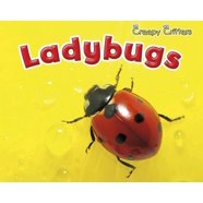 Hide-and-Seek Ladybugs (Board book) - Walmart.com