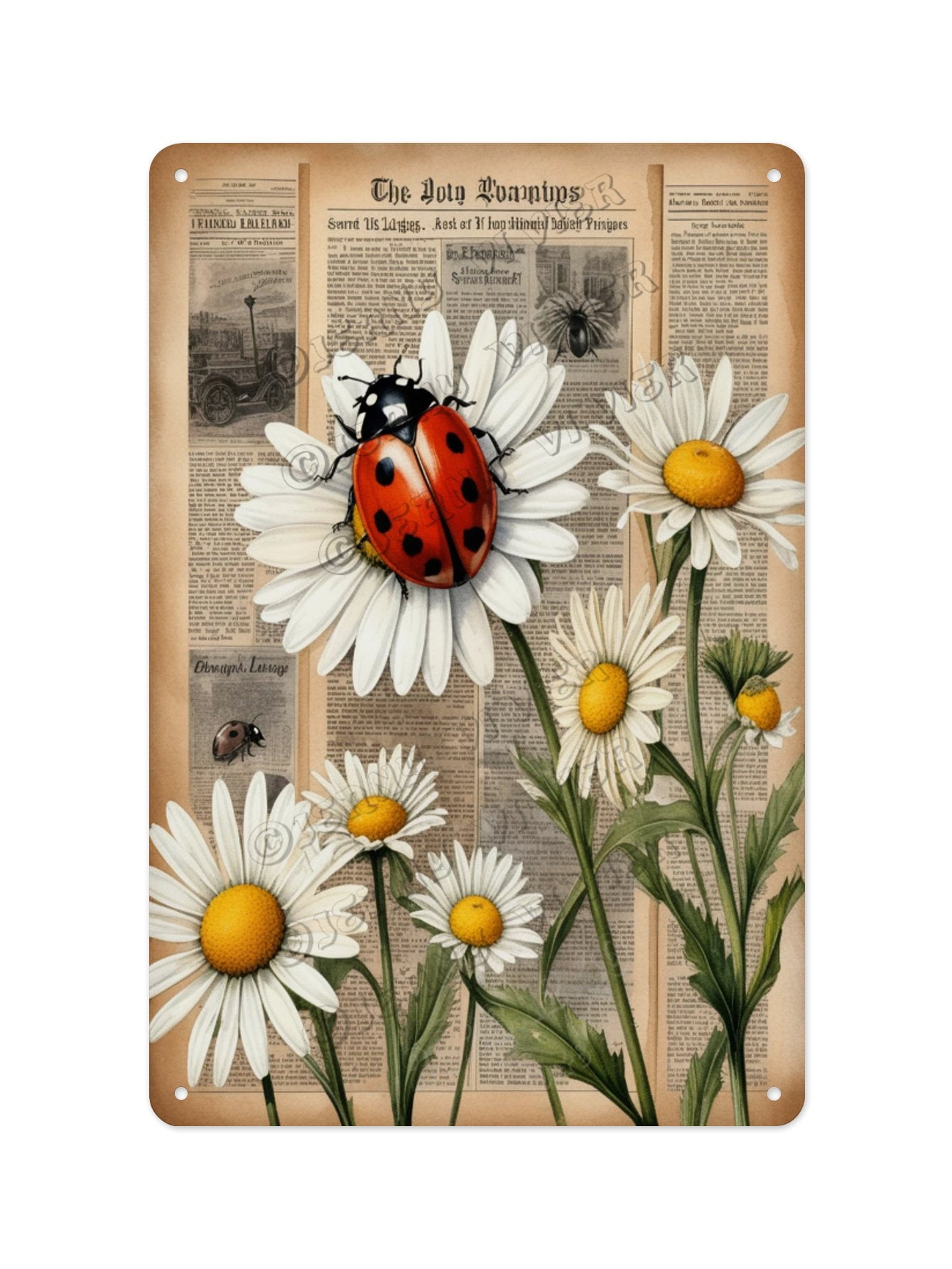Ladybugs Lovers Decorative Aluminum Sign 8x12 Inches - Shabby Chic Bug ...