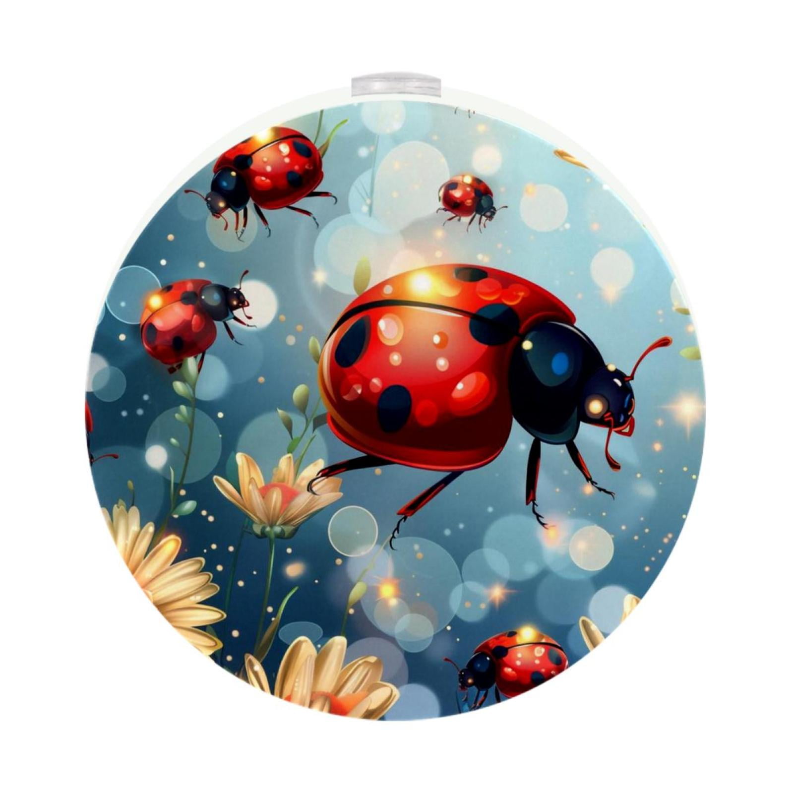Ladybugs Set of 2 LED Round Night Lights for Brightening up your Space ...
