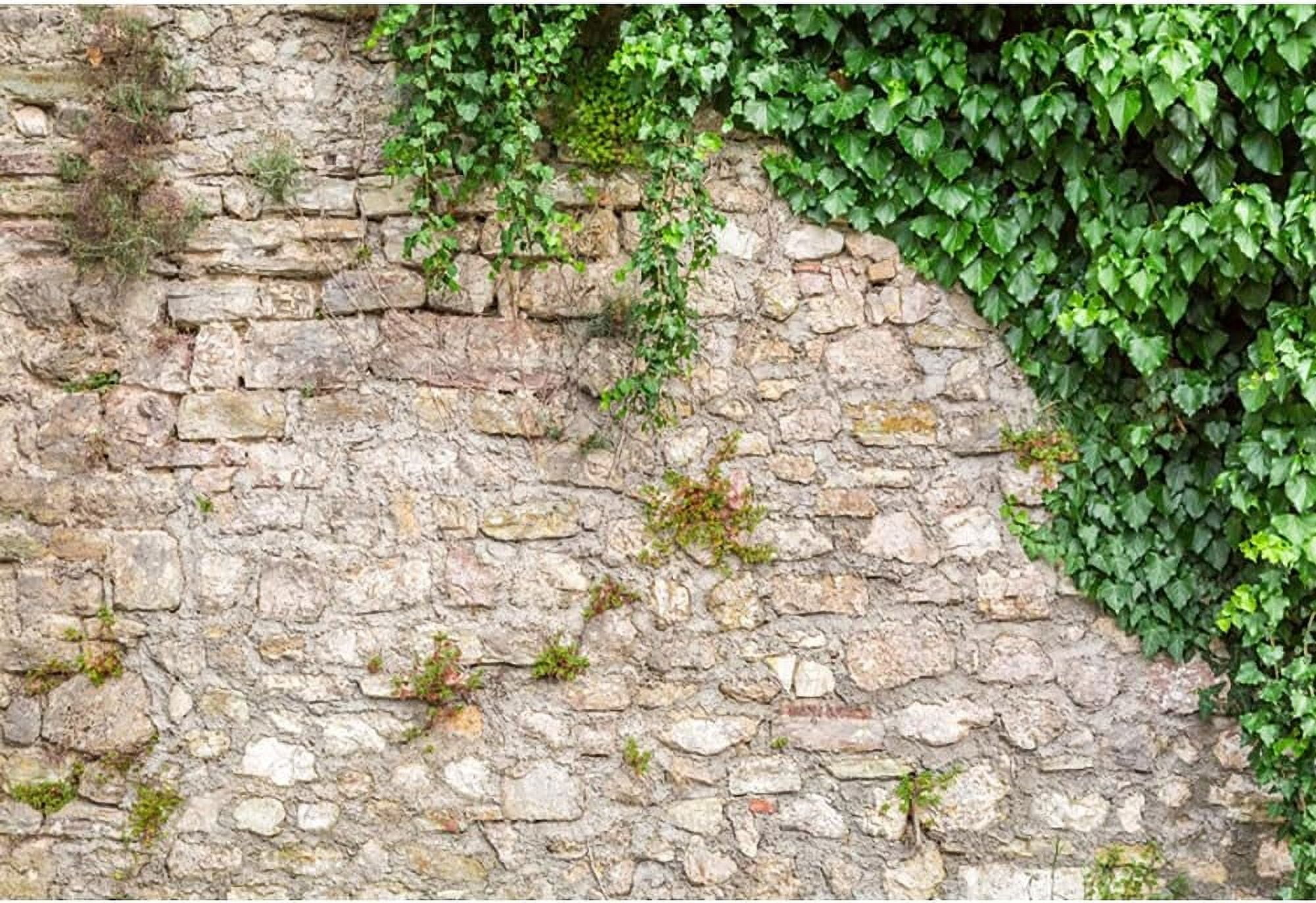 Laeacco 10x8FT Rustic Brick Wall Photography Backdrop Green Leaves Ivy ...