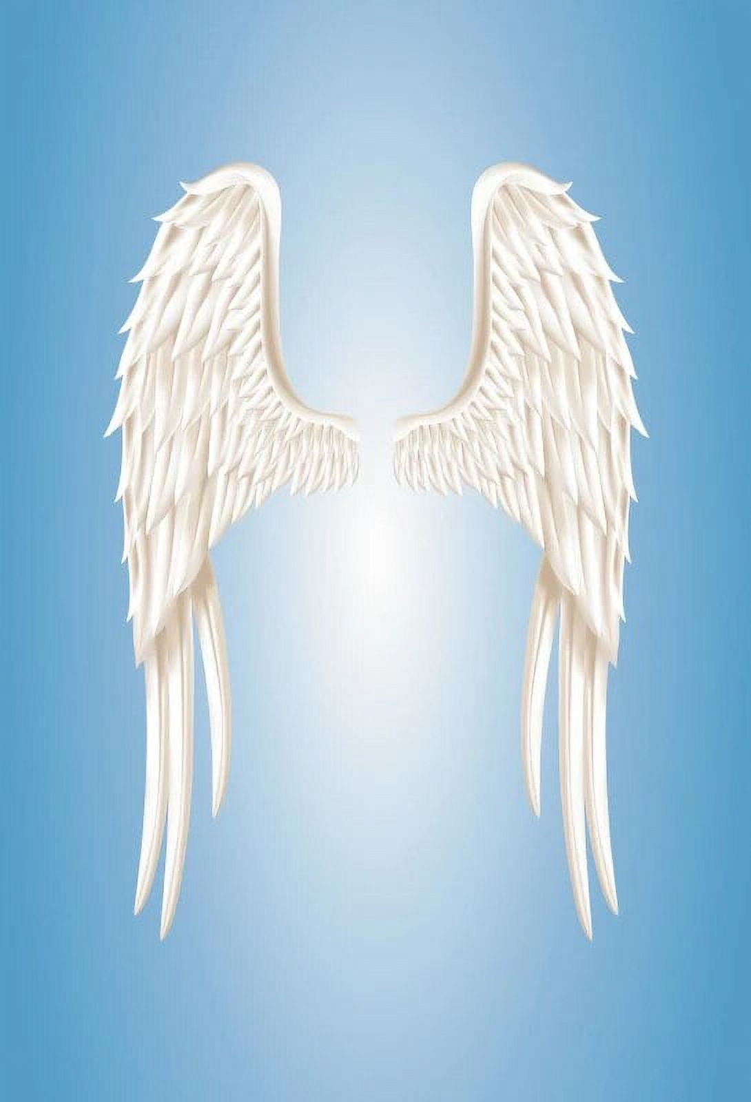 Laeacco Angel Devil Wings Clouds Newborn Photography Backdrops Vinyl ...