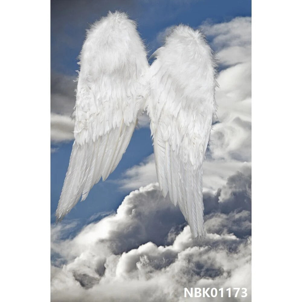 Laeacco Angel Devil Wings Clouds Newborn Photography Backdrops Vinyl Photo Backgrounds Birthday ...