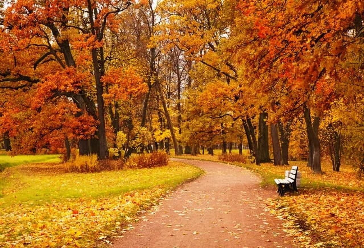 Laeacco Autumn Fallen Leaves Trees Sunshine Photography Backdrops ... Laeacco Autumn Fallen Leaves Trees Sunshine Photography Backdrops ...