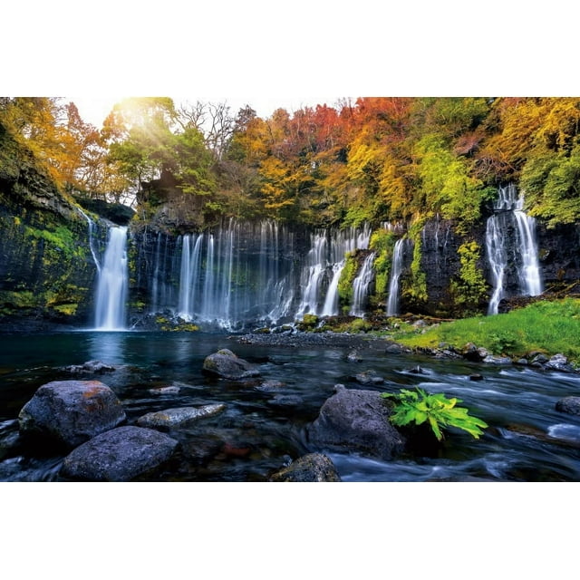 Laeacco Autumn Fallen Leaves Trees Sunshine Photography Backdrops ...