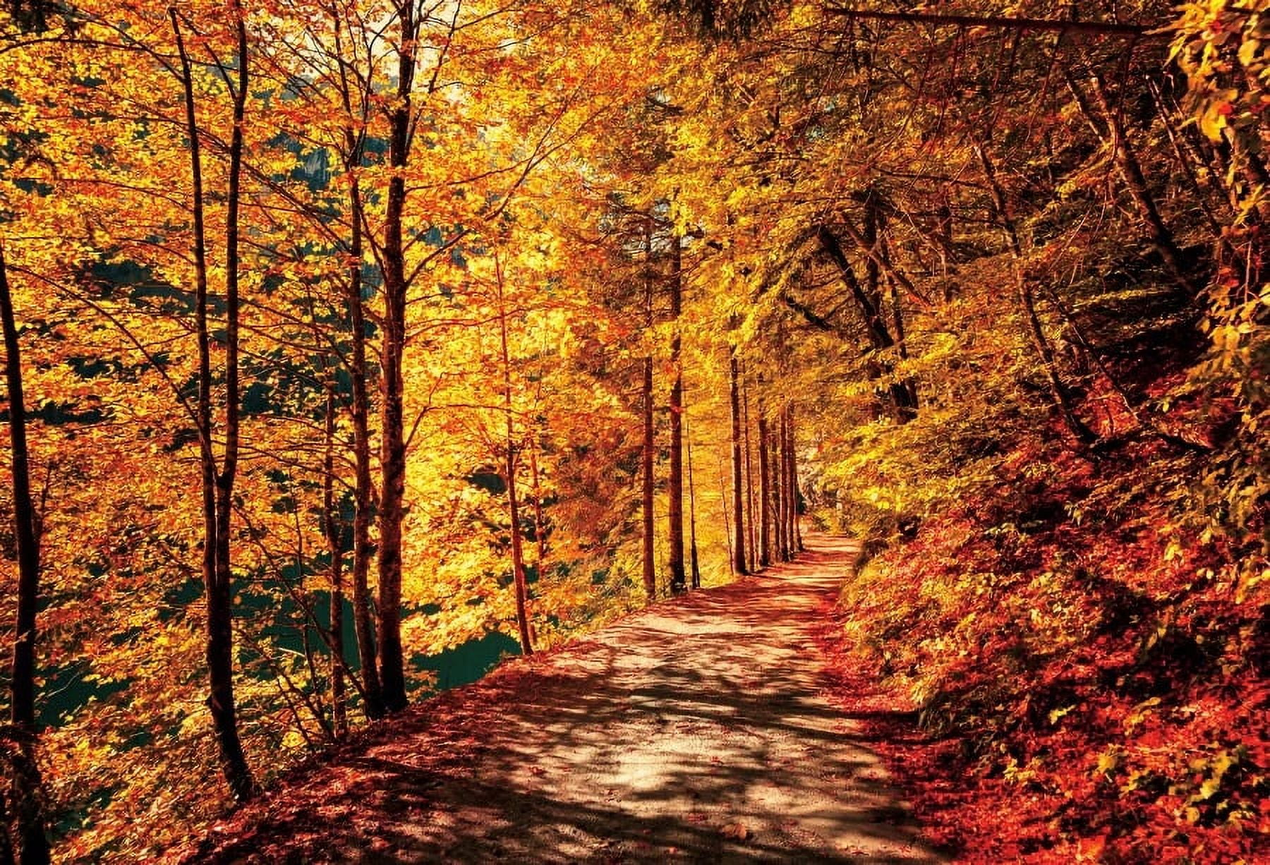 Laeacco Autumn Fallen Leaves Trees Sunshine Photography Backdrops ... Laeacco Autumn Fallen Leaves Trees Sunshine Photography Backdrops ...