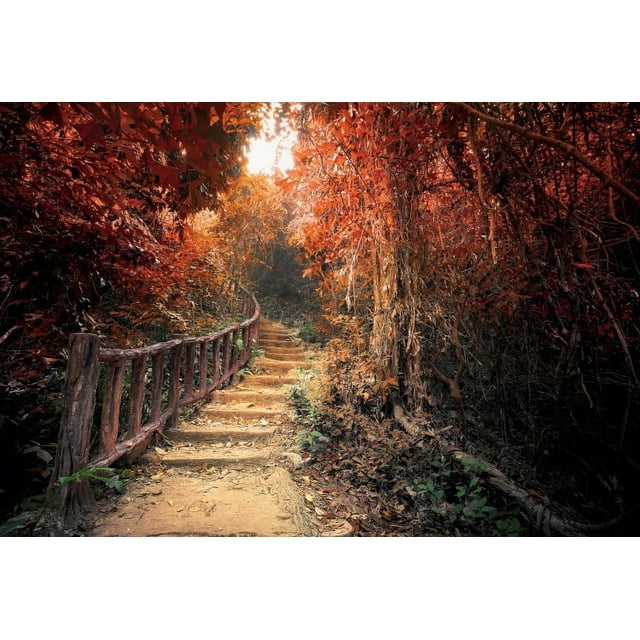 Laeacco Autumn Fallen Leaves Trees Sunshine Photography Backdrops ...