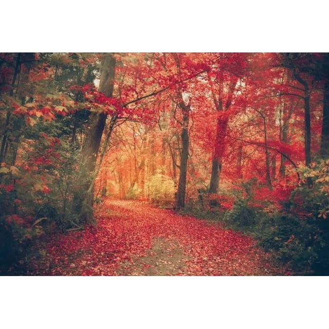Laeacco Autumn Fallen Leaves Trees Sunshine Photography Backdrops ...