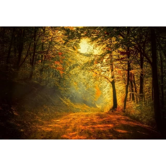 Laeacco Autumn Fallen Leaves Trees Sunshine Photography Backdrops ...