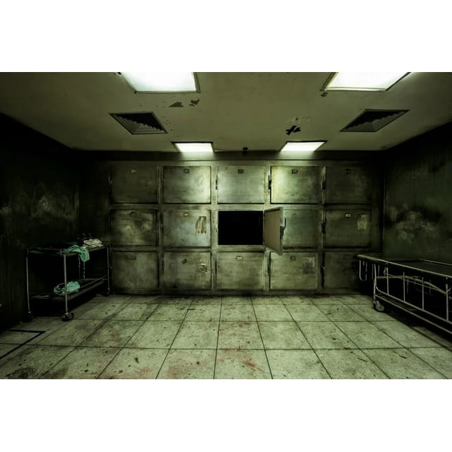 Laeacco Blood Splash Wall Backdrop Halloween Zombie Party Horror Bloody ...