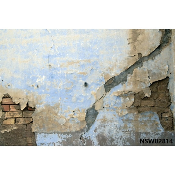 Laeacco Graffiti Brick Wall Grunge Vintage Portrait Retro Style ...